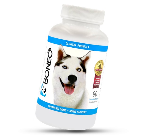 BONEO Canine® Clinical Formula(1 case / 12 bottles) | VID.com